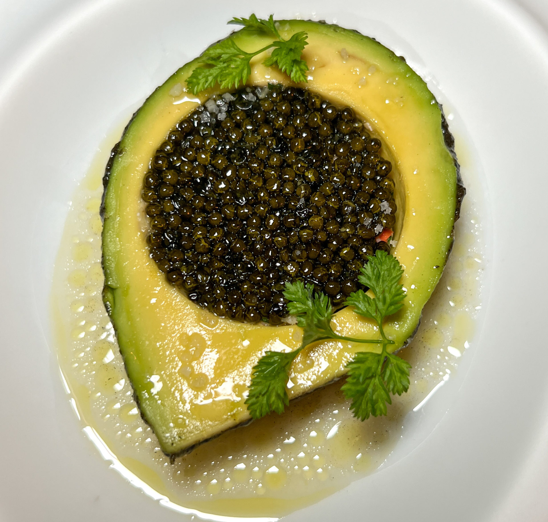 BEST Dining Experience at MAASS Fort Lauderdale