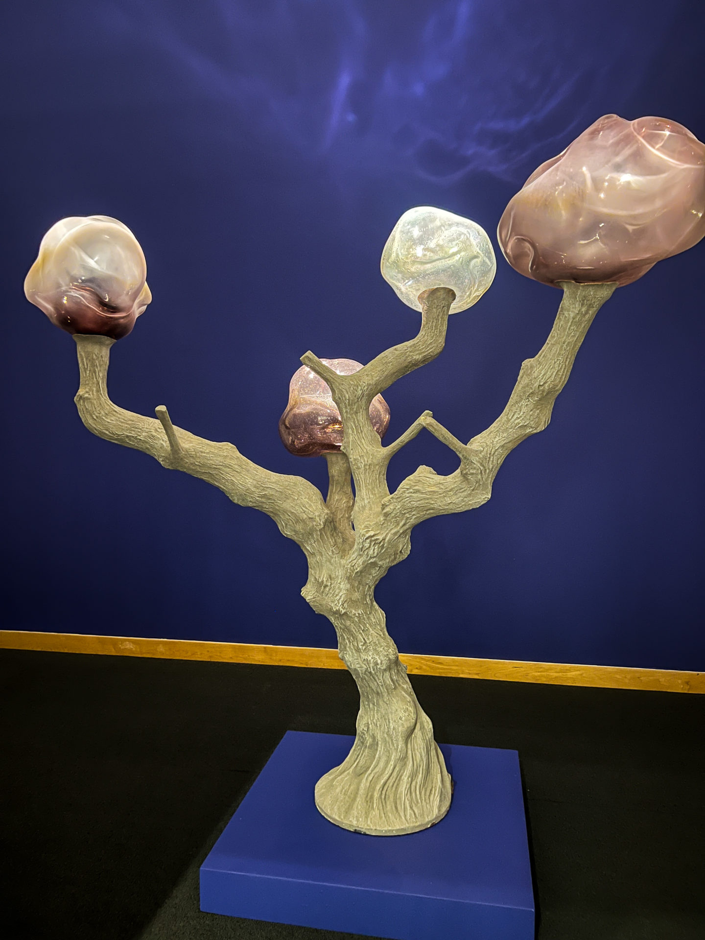 Looking for the best Boca Raton attraction?